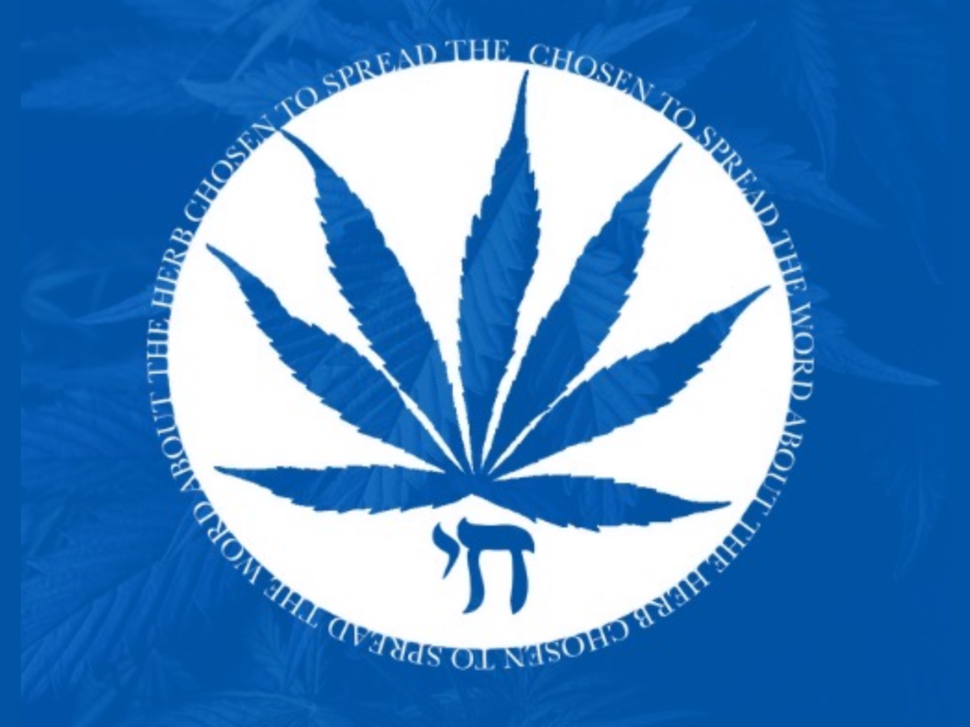 Mensch of the Month: Dedi Meiri - Cannabis Jew Magazine