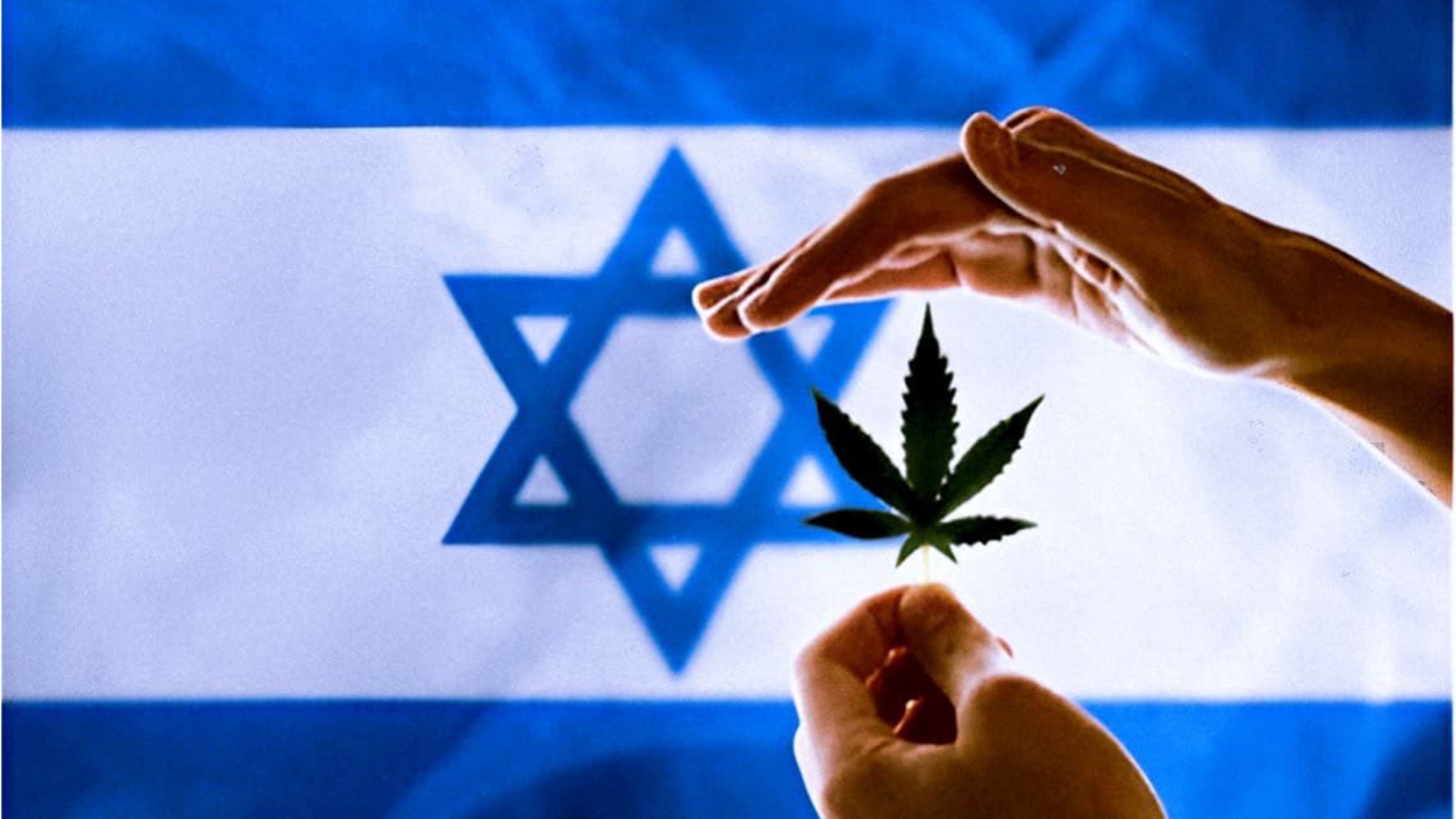 Mensch of the Month: Dedi Meiri - Cannabis Jew Magazine